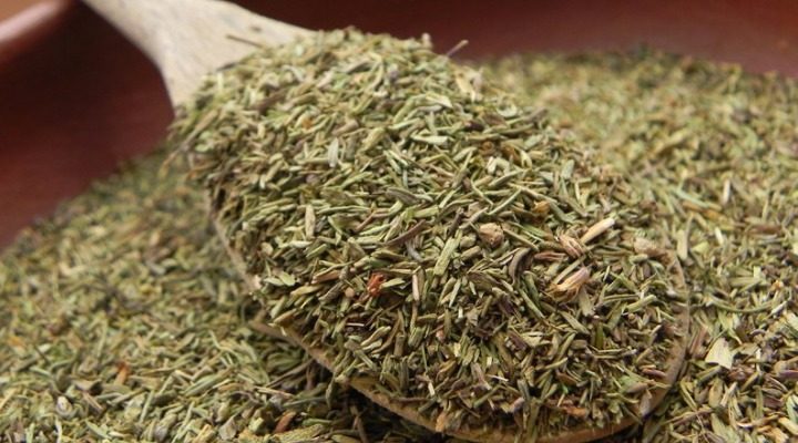 Tomillo limonero ¡Lo que NO sabias sobre el TOMILLO!